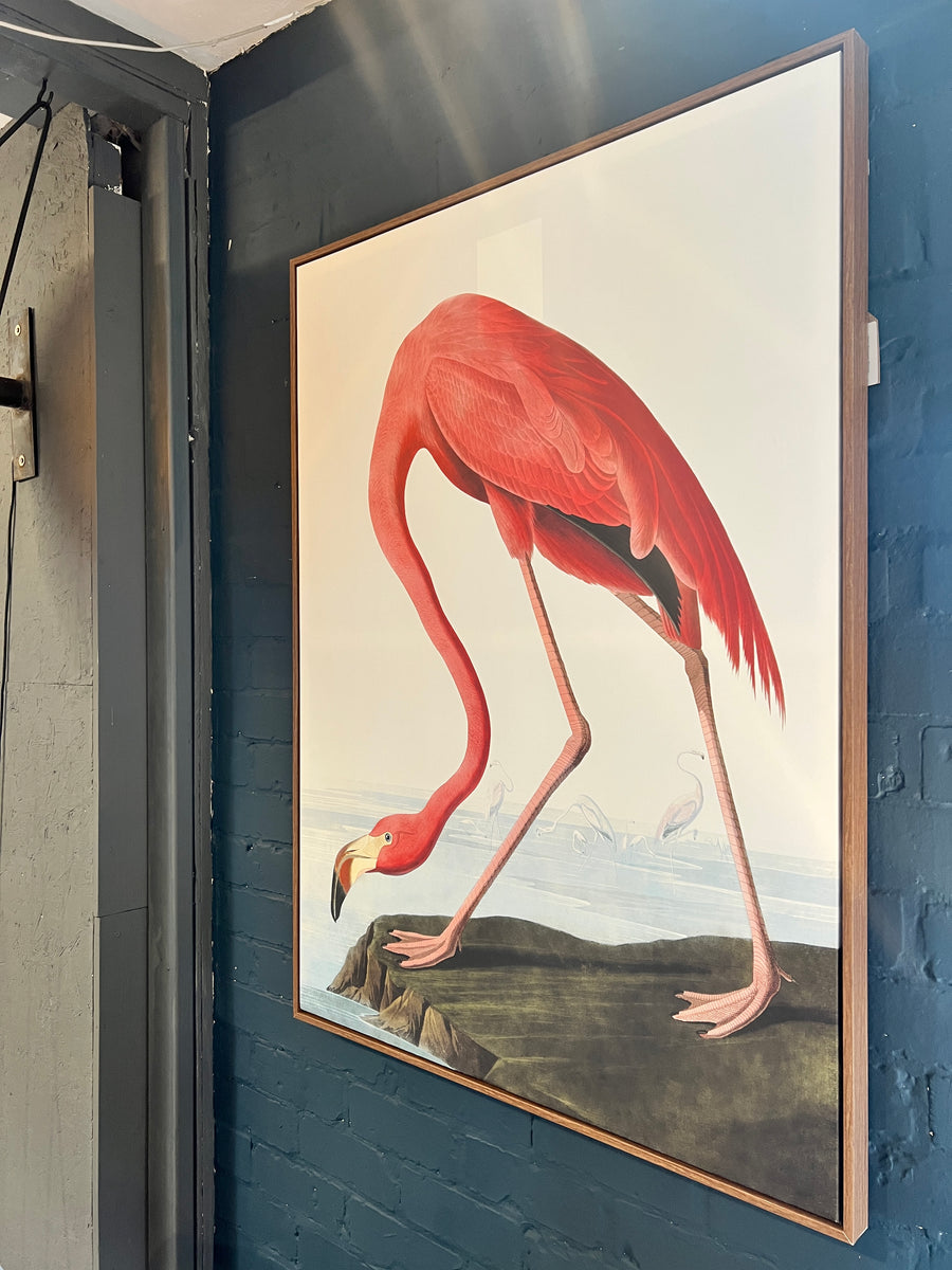 Flamingo Canvas – Simply Dutch