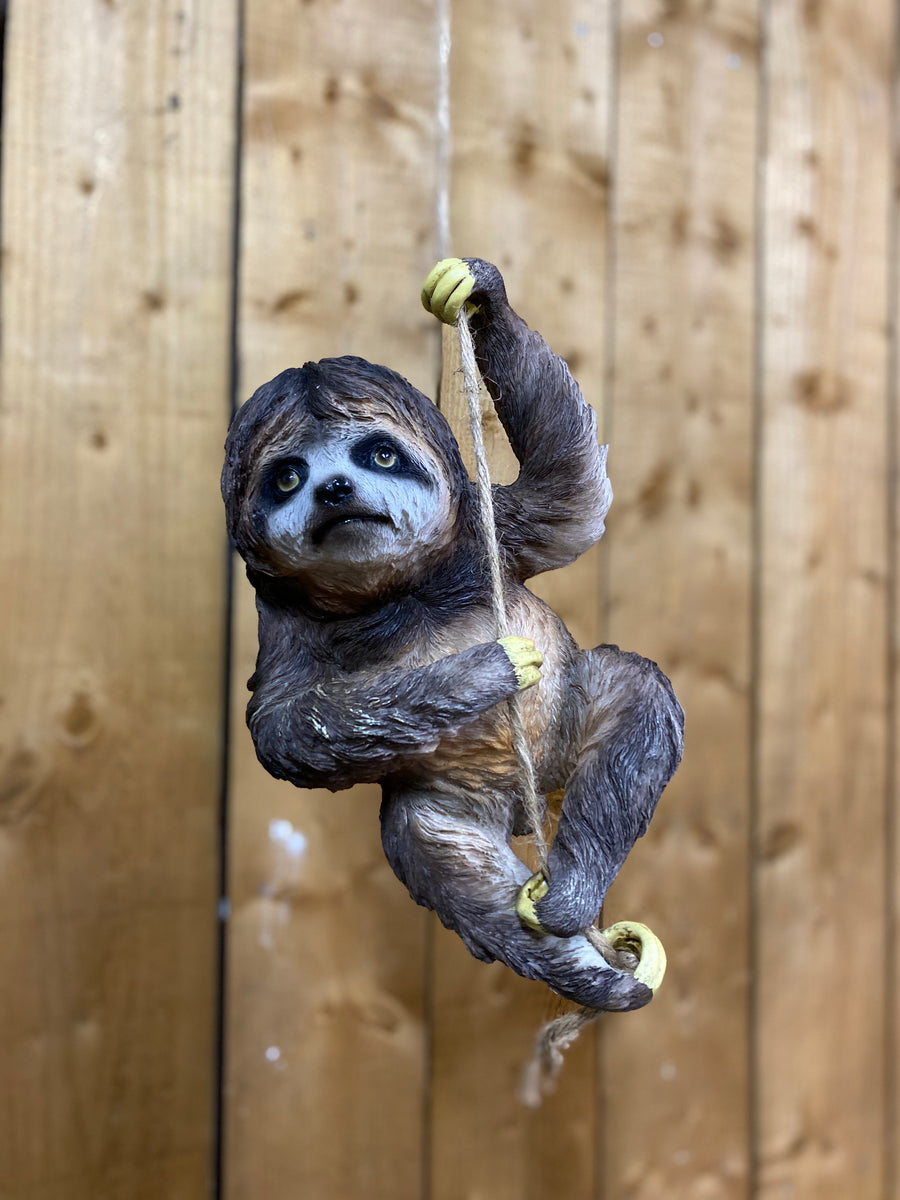 Stefan the Sloth🦥 – Simply Dutch