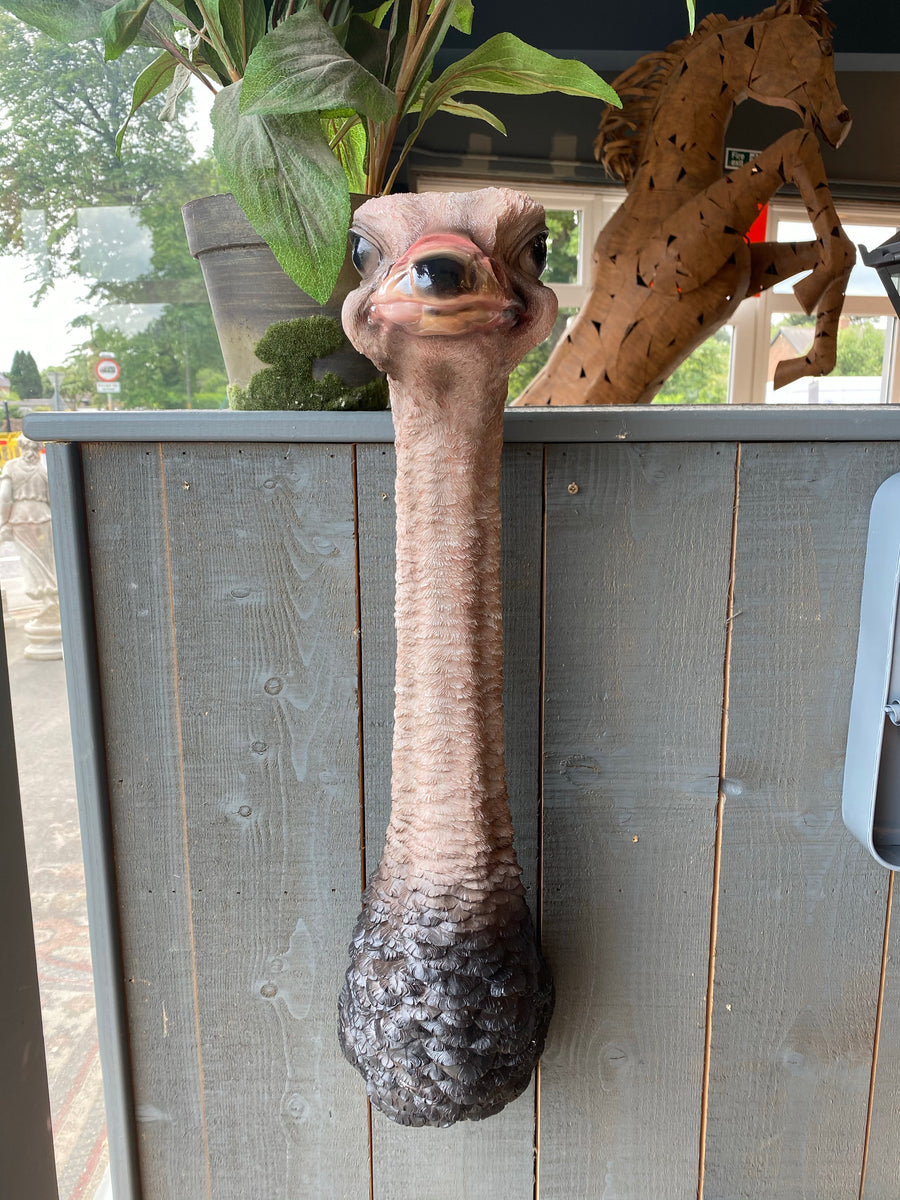Ozzy the Ostrich – Simply Dutch